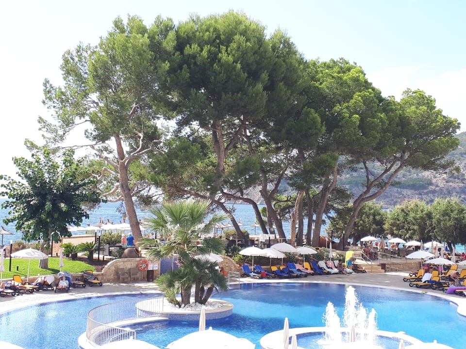 "Blick aus dem Zimmer auf ..." Alua Gran Camp de Mar (Camp de Mar ...