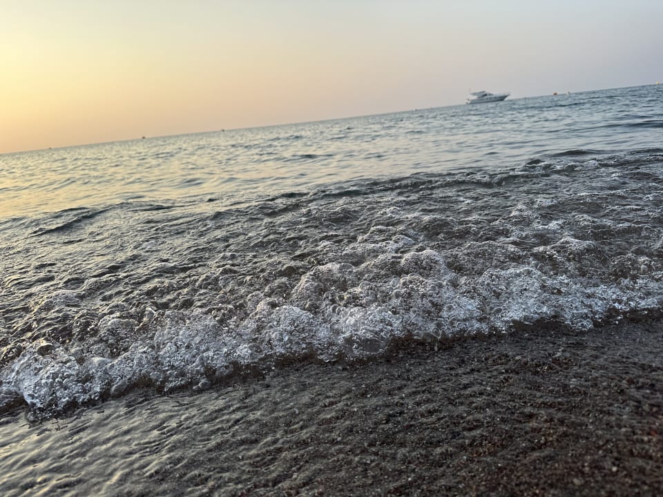 "Strand" Blue Sea Beach Resort (Faliraki) • HolidayCheck (Rhodos ...