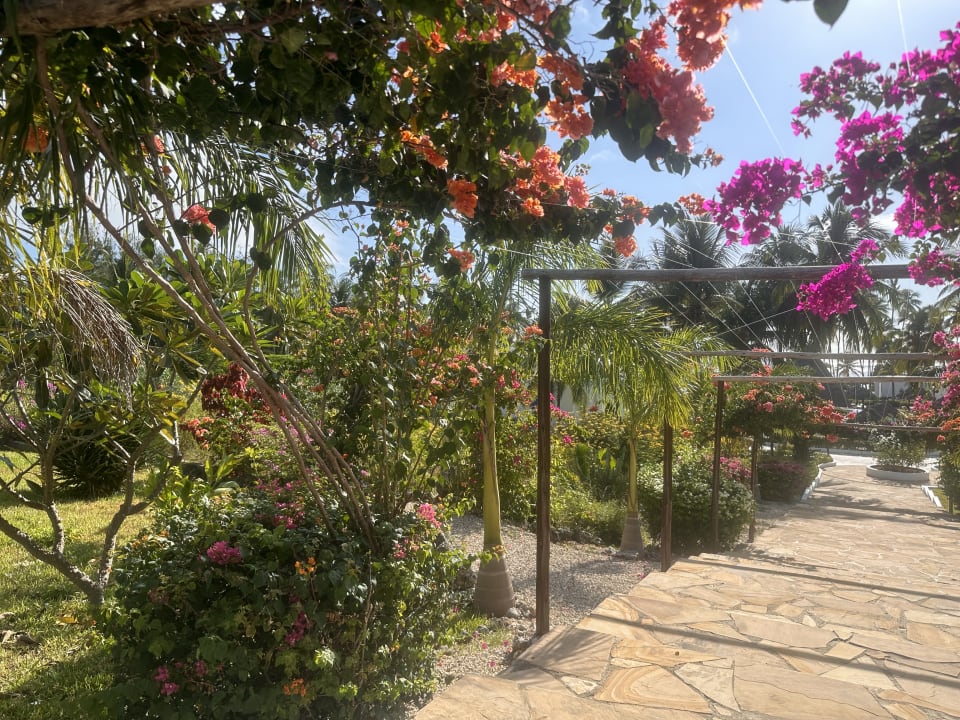 "Gartenanlage" SBH Kilindini Resort (Pwani Mchangani) • HolidayCheck ...