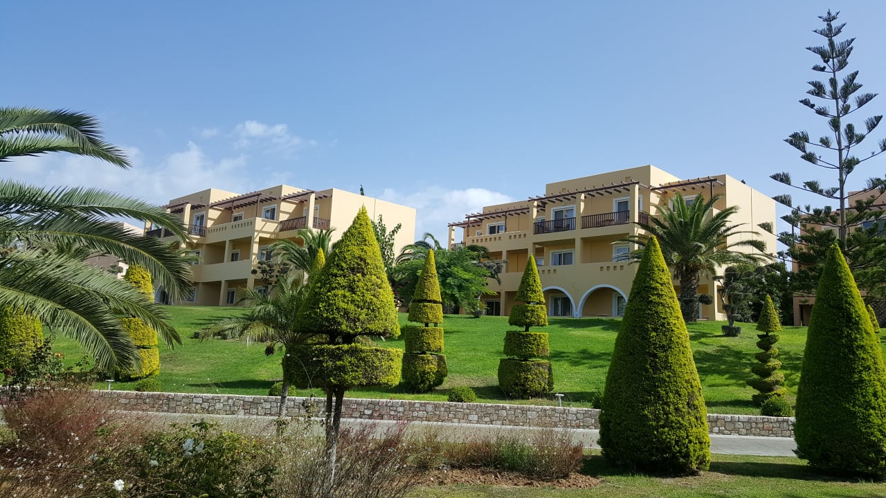 "Zimmer" Hotel Horizon Beach Resort (Mastichari) • HolidayCheck (Kos ...