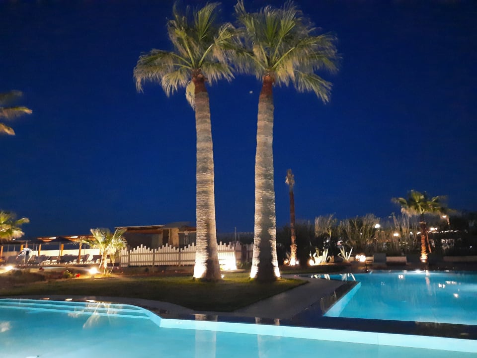 "Pool" Hotel Malia Bay Beach Hotel & Bungalows (Malia) • HolidayCheck ...