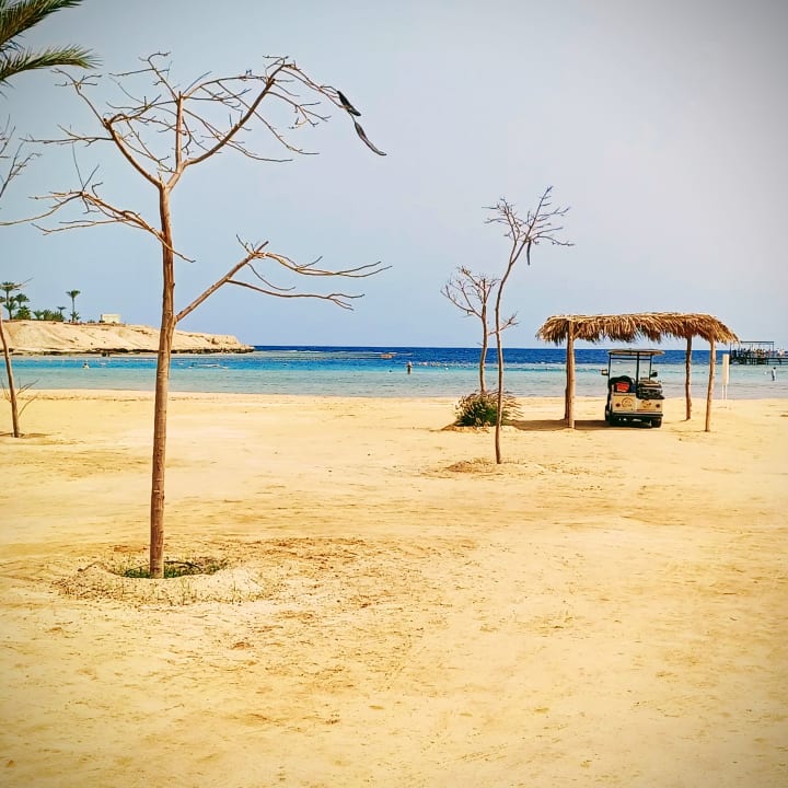 "Strand" Jaz Dar EL Madina (Marsa Alam) • HolidayCheck (Marsa Alam/El ...