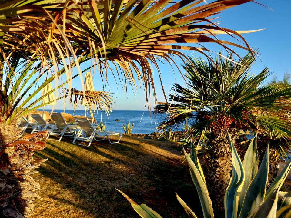 "Strand" Grecotel Marine Palace & Aqua Park (Panormos) • HolidayCheck ...