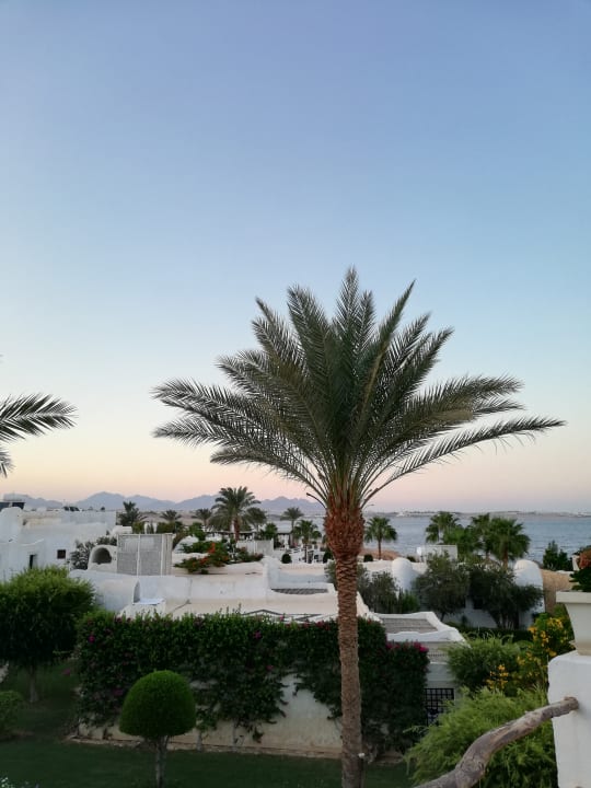 "Ausblick" Sharm Club Beach Resort (Sharm el Sheikh) • HolidayCheck ...