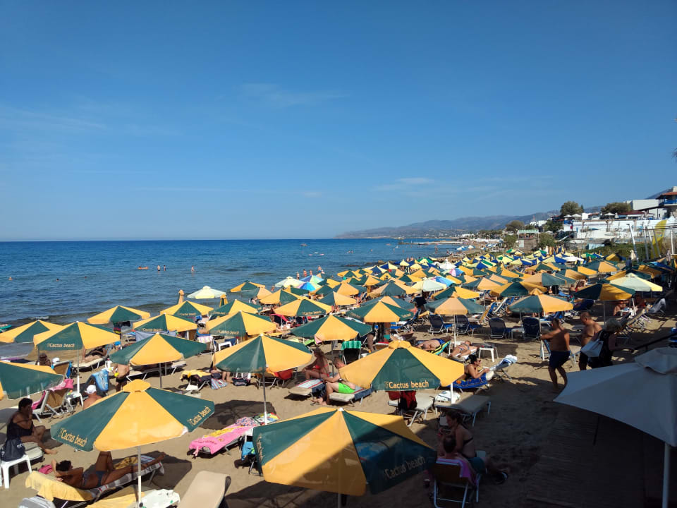 "Strand" Cactus Beach (Stalis) • HolidayCheck (Kreta | Griechenland)