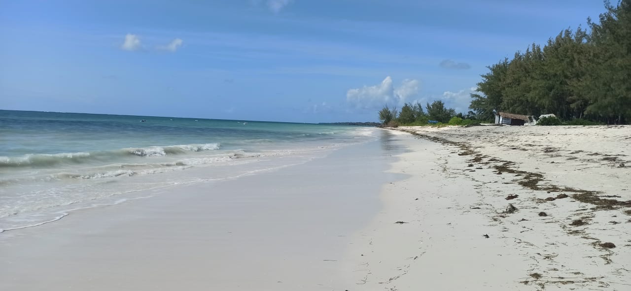 "Das Paradies!" Hotel Pinewood Beach Resort & Spa (Galu Beach ...