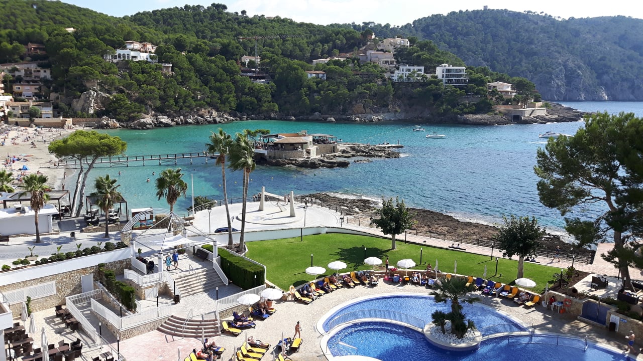 "Ausblick" Alua Gran Camp de Mar (Camp de Mar) • HolidayCheck (Mallorca ...