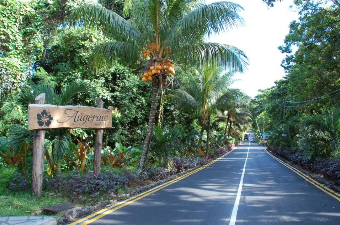 "Zufahrt zum Augerine Gues..." Hotel Augerine (Beau Vallon ...