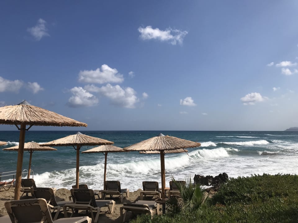 "Strand" Cactus Bay (Stalis) • HolidayCheck (Kreta | Griechenland)