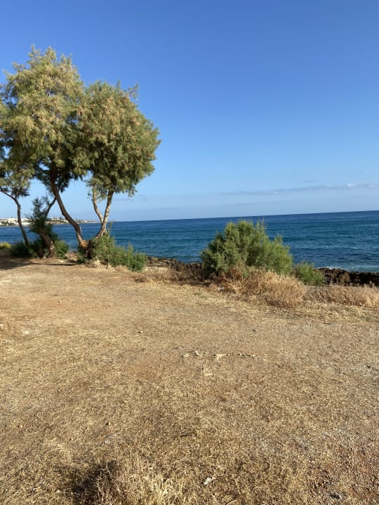 "Außenansicht" Cactus Bay (Stalis) • HolidayCheck (Kreta | Griechenland)