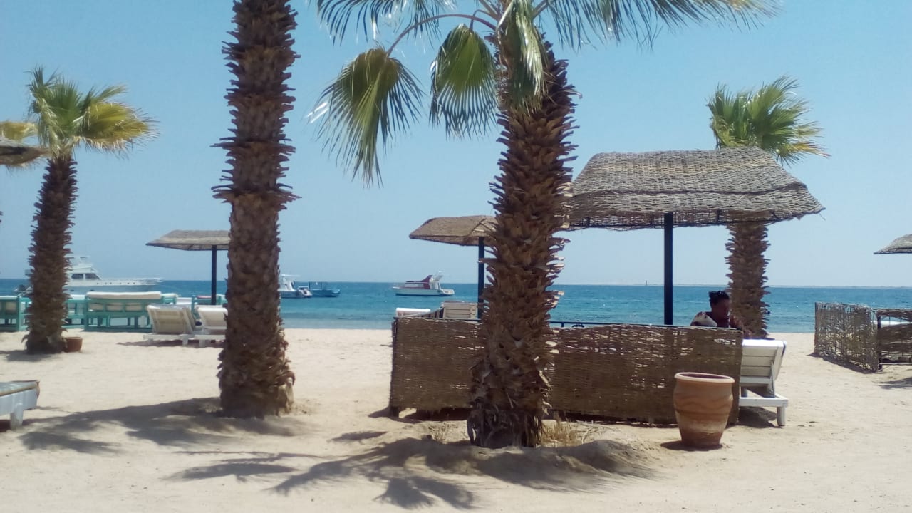 "Strand" Lotus Bay Beach Resort (Abu Soma) • HolidayCheck (Hurghada ...