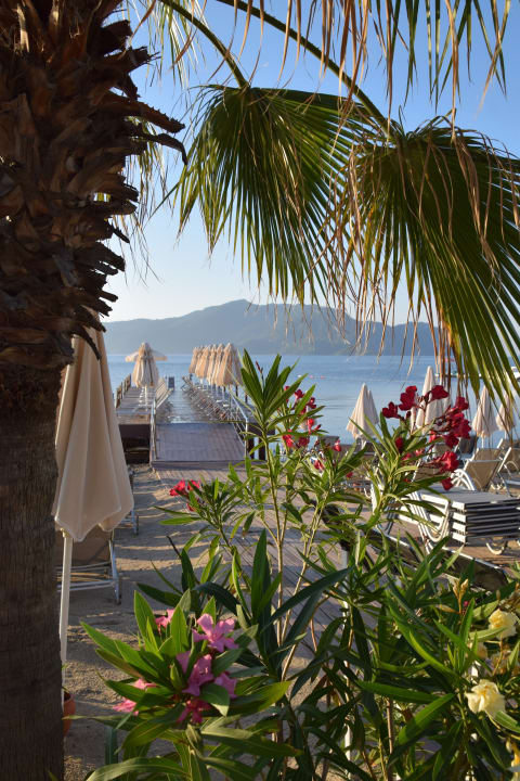 "Strand" Emre Beach & Emre Hotel (Marmaris) • HolidayCheck (Türkische ...