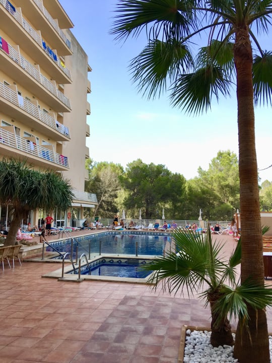 "Pool" Azuline Hotel Bahamas (El Arenal / S'Arenal) • HolidayCheck ...