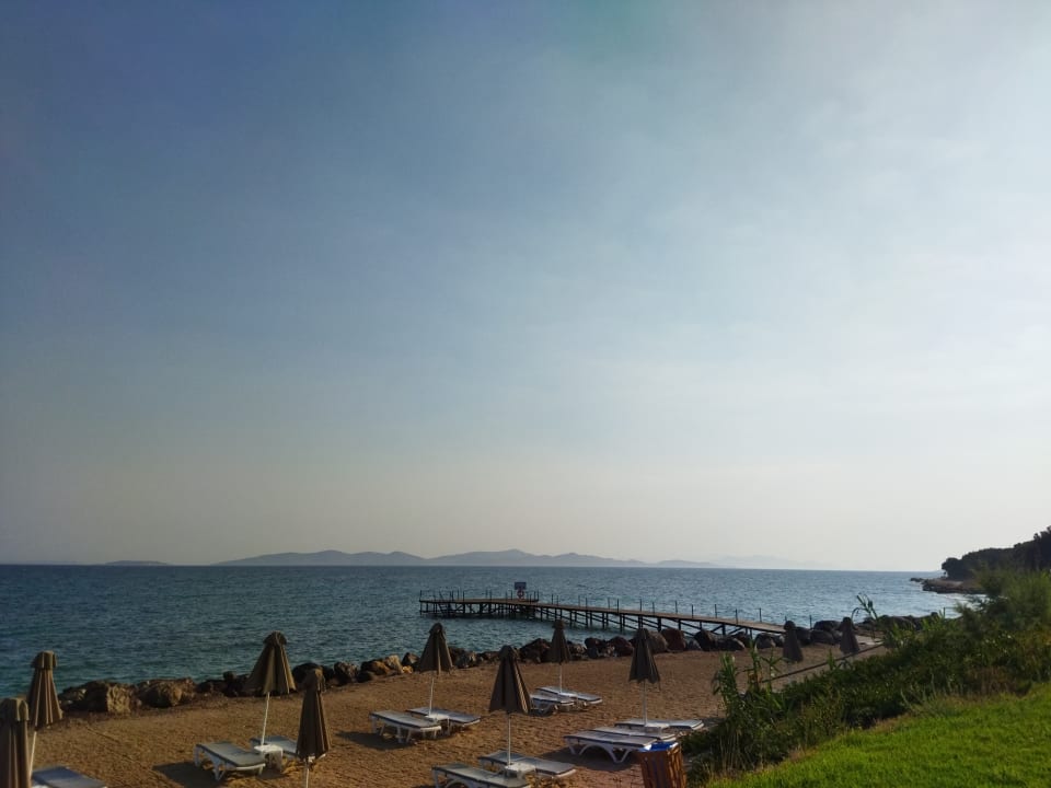 "Strand" Mastichari Bay Hotel (Mastichari) • HolidayCheck (Kos ...