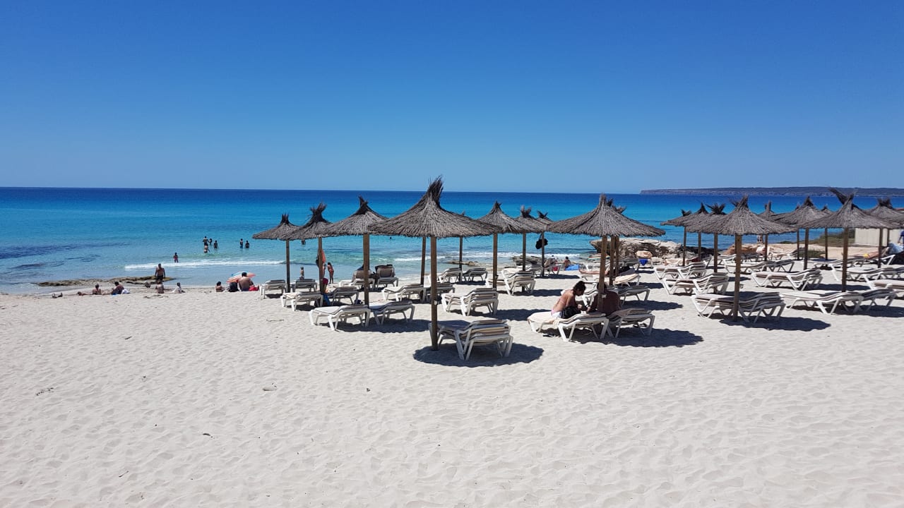"Strand" Hotel Riu La Mola (Es Calo) • HolidayCheck (Formentera | Spanien)