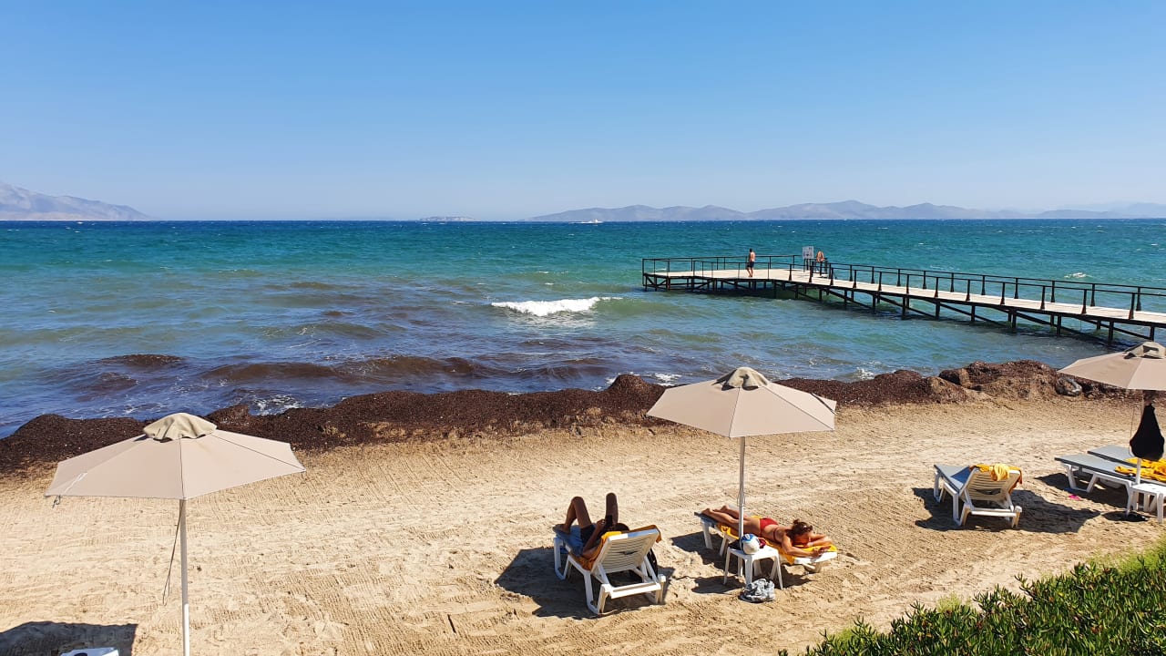 "Strand" Mastichari Bay Hotel (Mastichari) • HolidayCheck (Kos ...