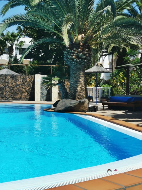 "Pool" Monte Marina Naturist Resort (Esquinzo) • HolidayCheck ...