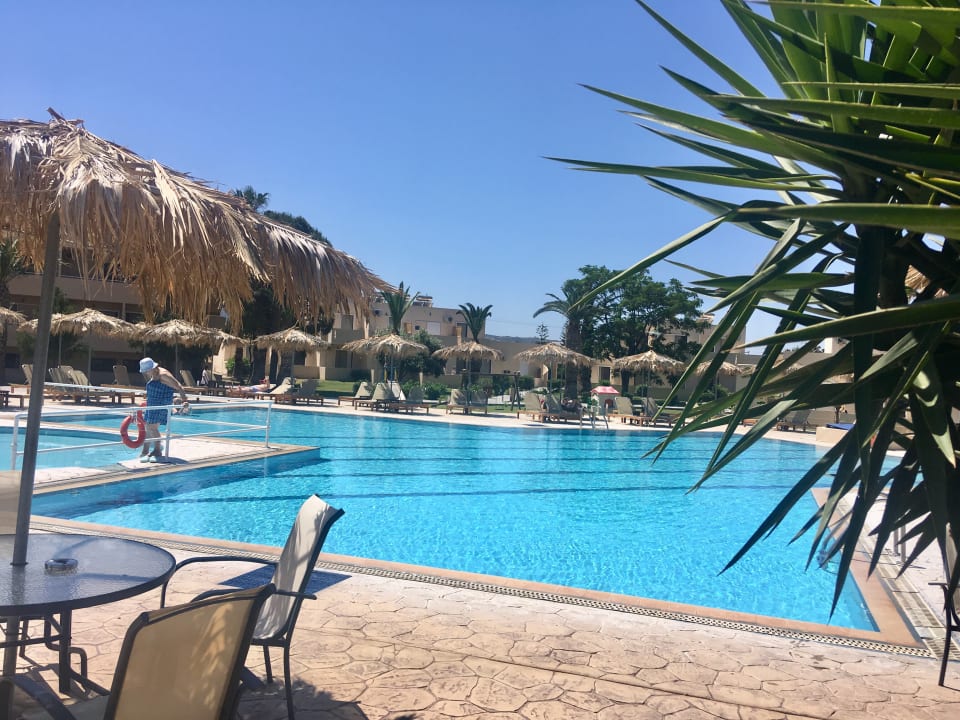 "Pool" Hotel Roselands (Marmari) • HolidayCheck (Kos | Griechenland)