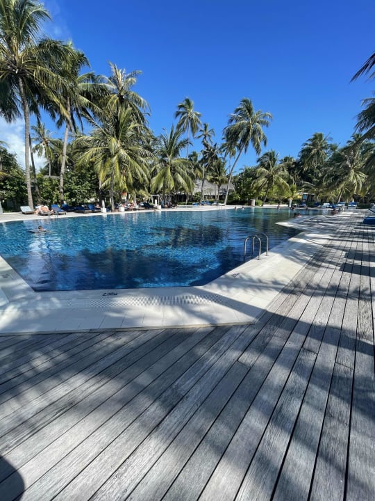 "Pool" Meeru Maldives Resort Island (Dhifushi) • HolidayCheck (Kaafu ...