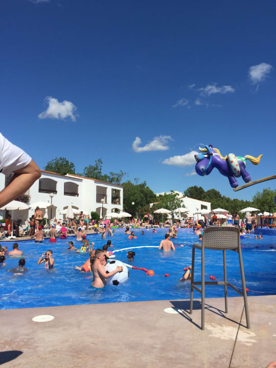 "Magnus Pool. Sehr empfehl..." FERGUS Club Europa (Peguera ...