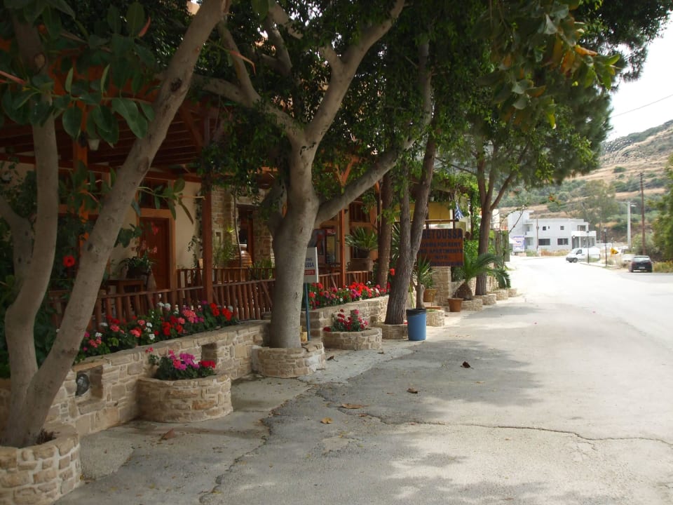 "Pension Aretoussa in Pits..." Pension Aretoussa (Pitsidia ...