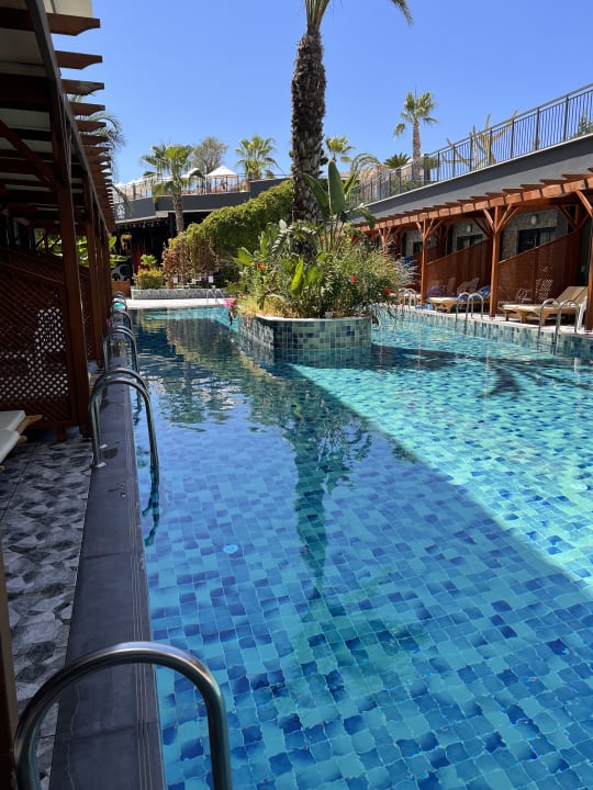 "Pool" Dream World Palace Hotel (Colakli) • HolidayCheck (Türkische ...