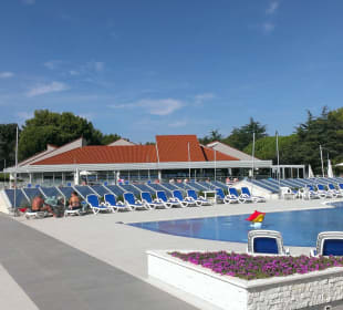 "Liegepätze Meer" Maistra Select Petalon Resort (Vrsar) • HolidayCheck ...