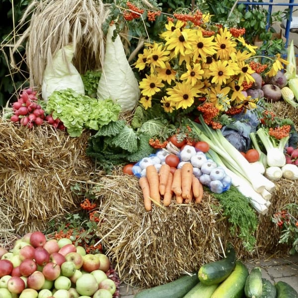 9 Herbstbräuche weltweit