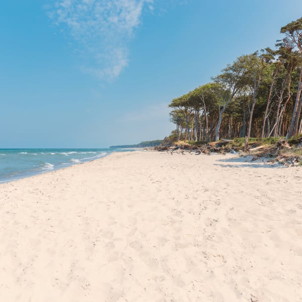 Die 10 besten Reiseziele im Sommer für Familien