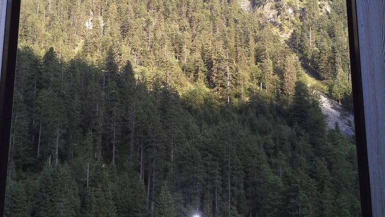 Alpenhotel Ammerwald (Reutte): Alle Infos zum Hotel