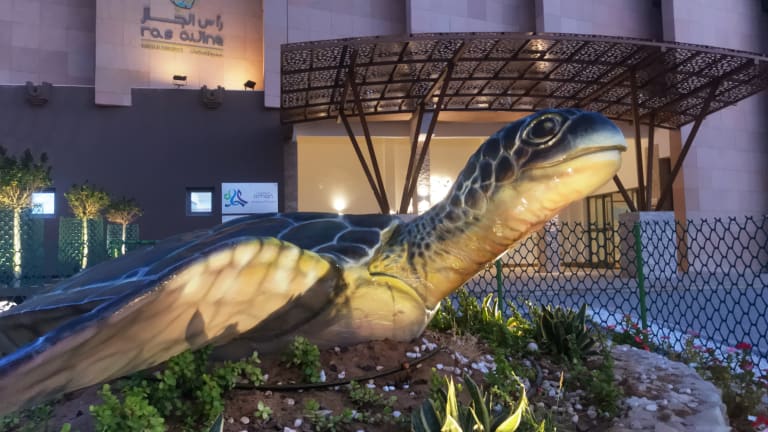 Ras Al Jinz Turtle Reserve (Ras Al Jinz): Alle Infos zum Hotel