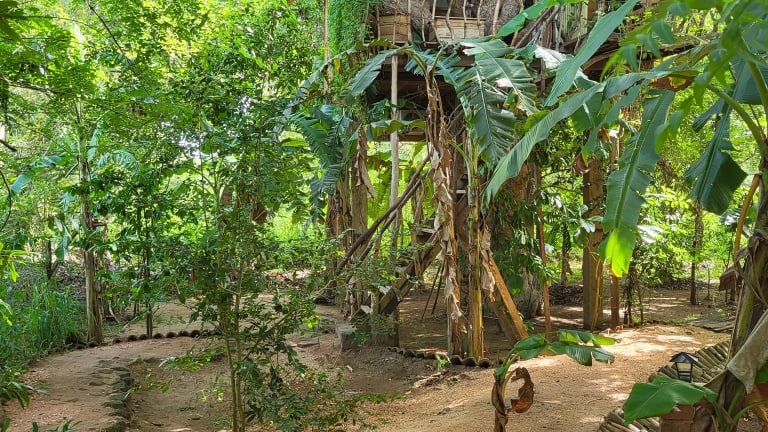 Habarana Tree House Ambasewana Resort (Habarana): Alle Infos zum Hotel