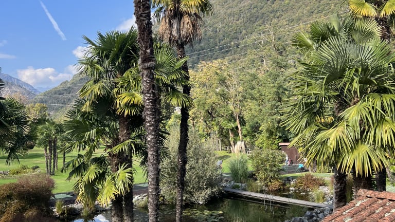 Albergo Losone (Losone): Alle Infos zum Hotel