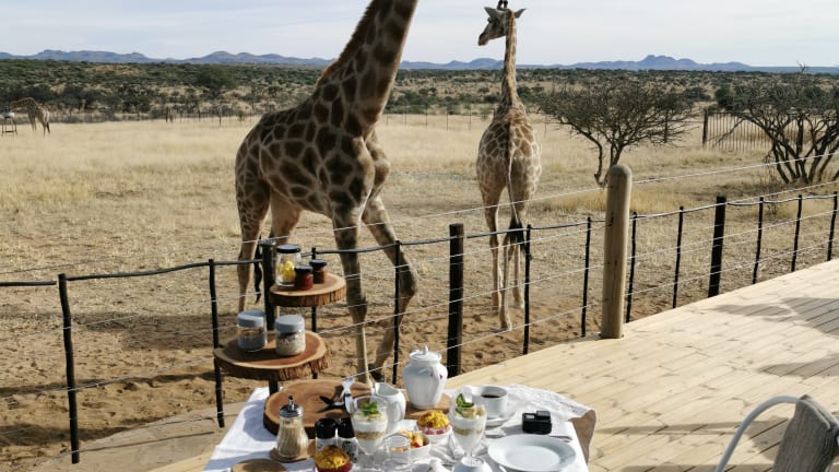 Guesthouse Voigtland (Windhoek): Alle Infos zum Hotel