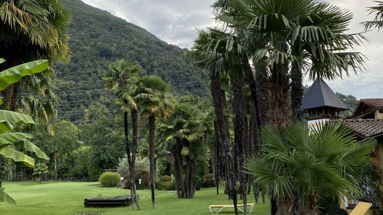 Albergo Losone (Losone): Alle Infos zum Hotel