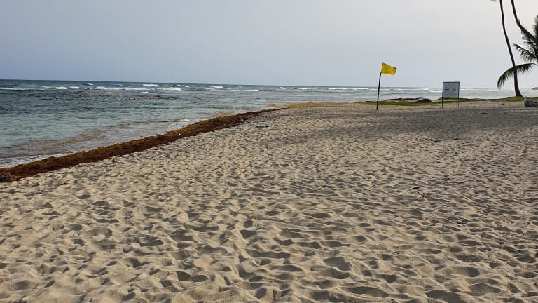 Coral Costa Caribe Beach Resort (Juan Dolio) • HolidayCheck